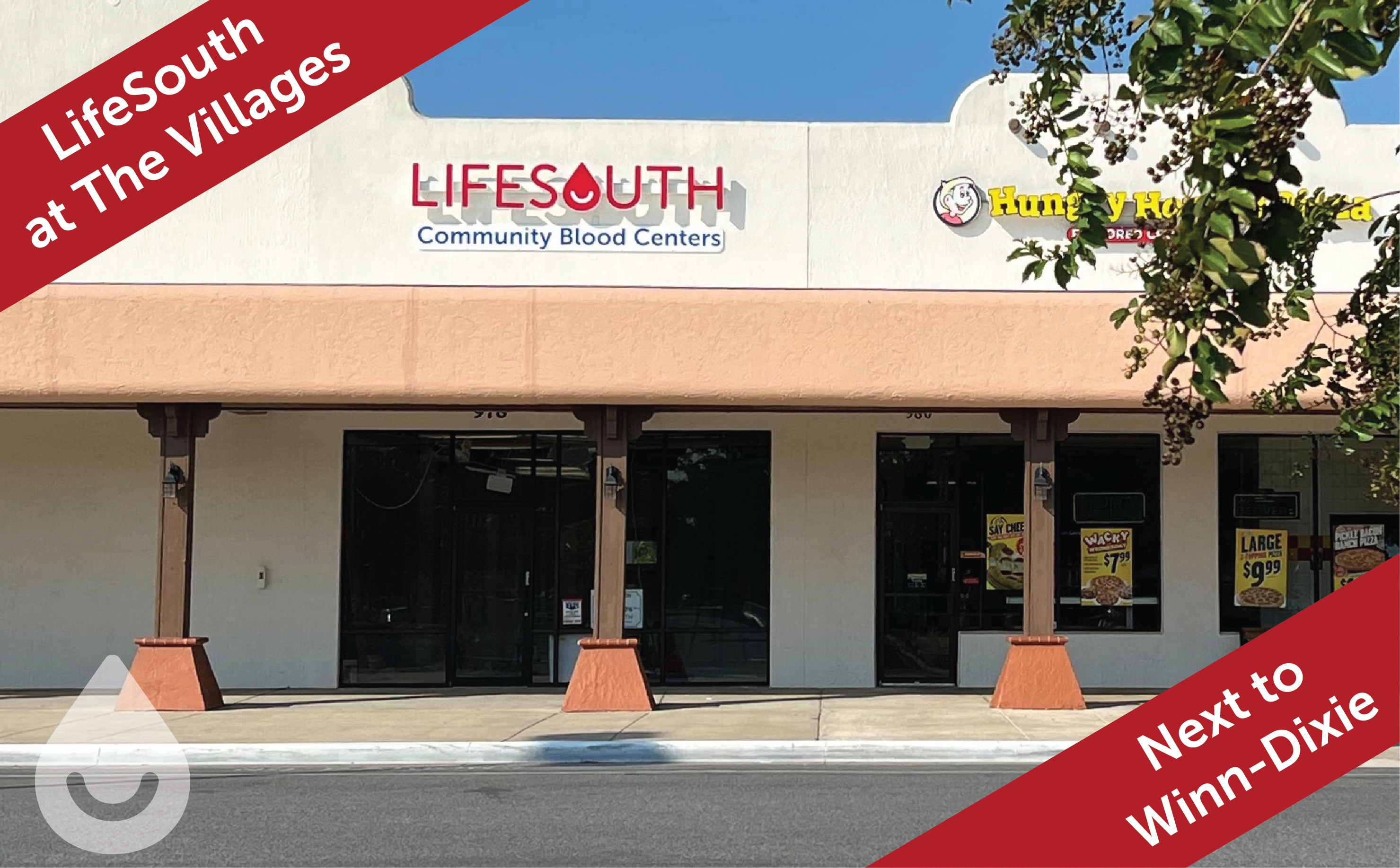 Promotion Archives - LifeSouth Community Blood Centers